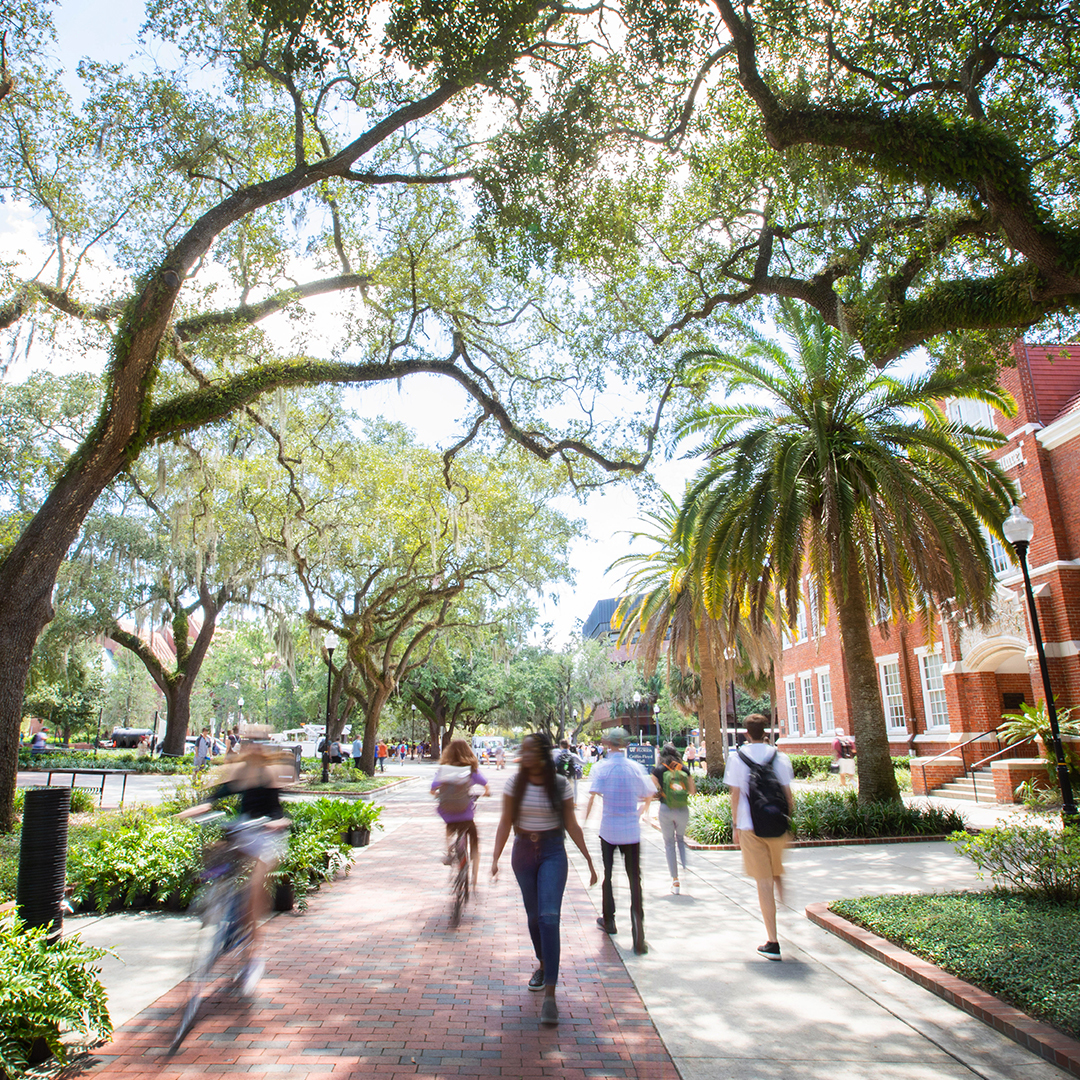 Maintaining a drug-free workplace – UF At Work