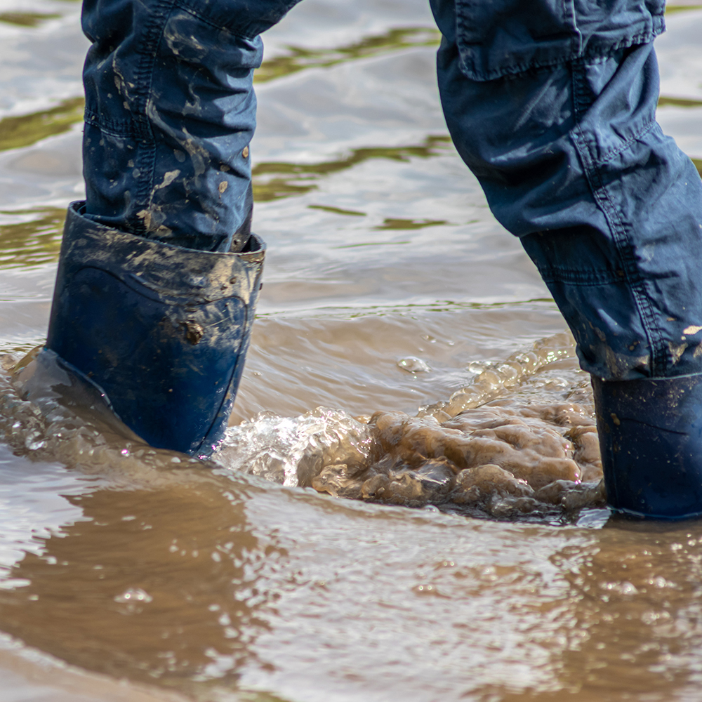Post-storm recovery: Resources and assistance for the UF community – UF ...