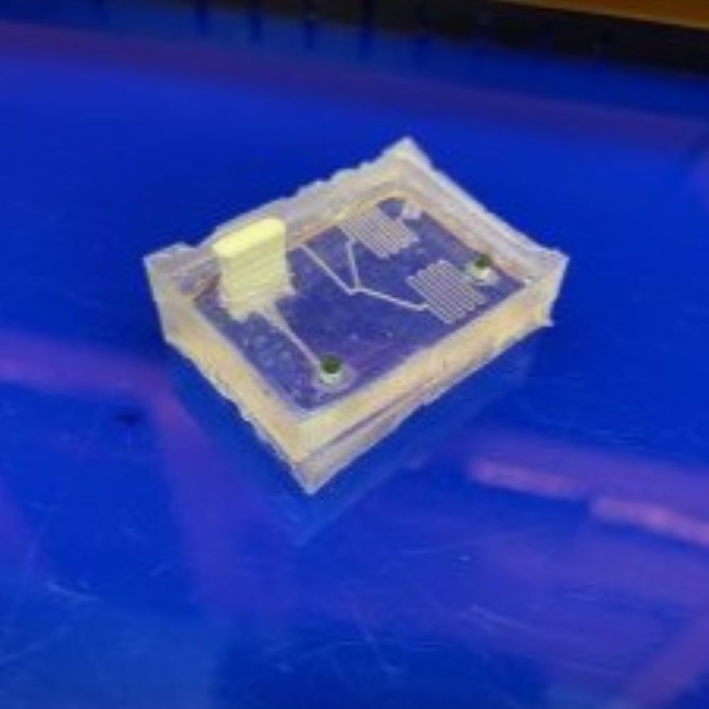 NIH grant helps UF researchers develop at-home HIV test kit – UF At Work NIH grant helps UF researchers develop at-home HIV test kit – UF At Work