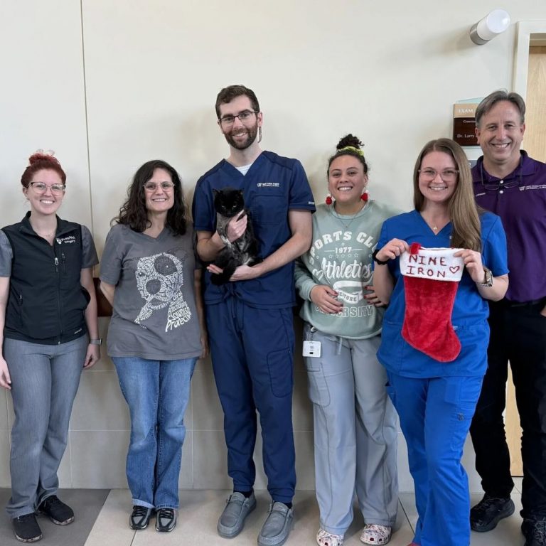 UF At Work – News for faculty and staff